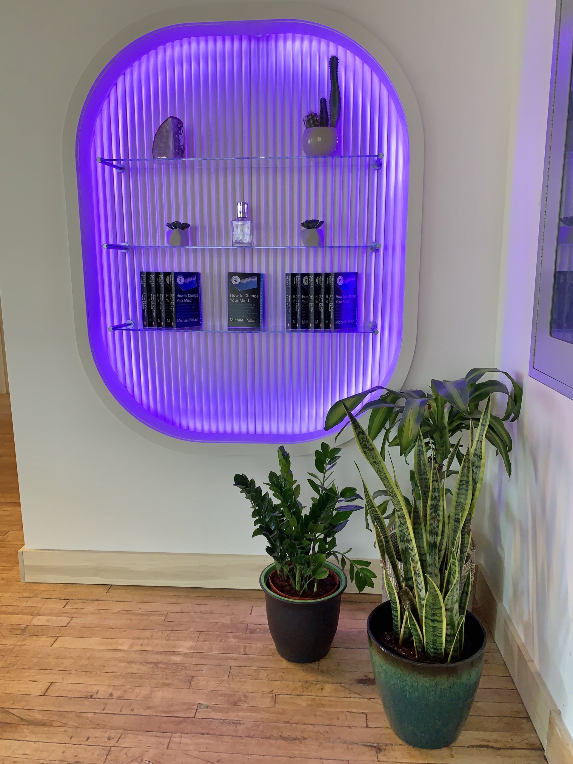 Ketamine Therapy Toronto | Field Trip Health